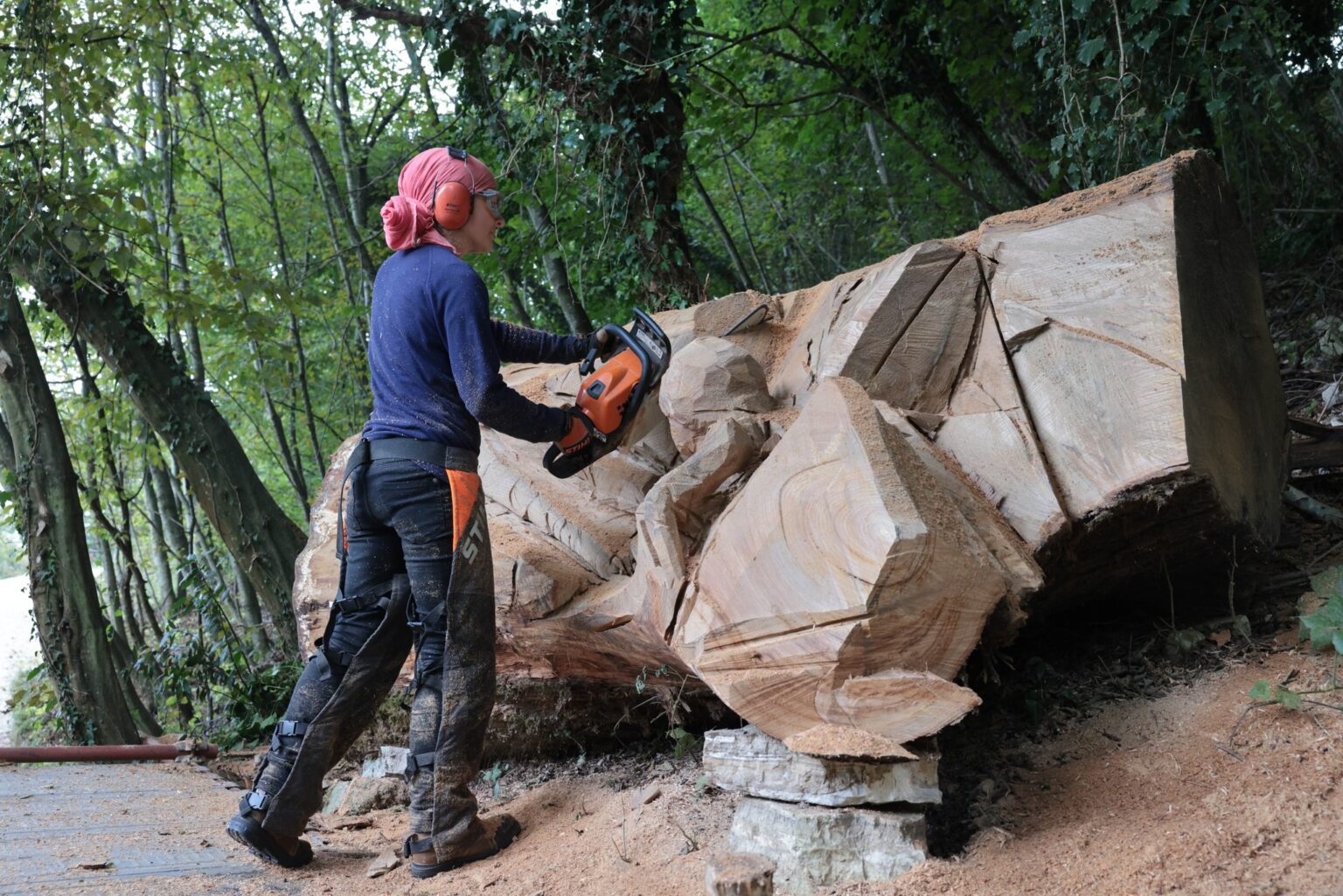 80ª Festa dei Marroni di Combai: un'edizione da non perdere - Eventi Venetando